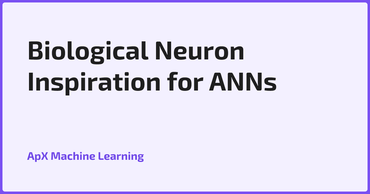 Biological Neuron Inspiration for ANNs